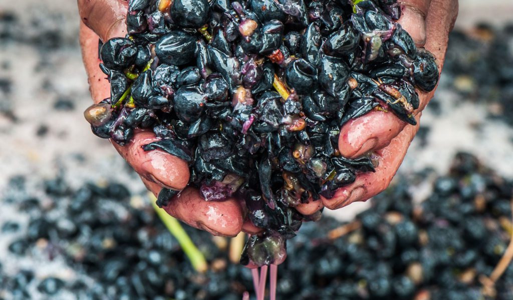 Our Story - Mount Eyre Vineyards